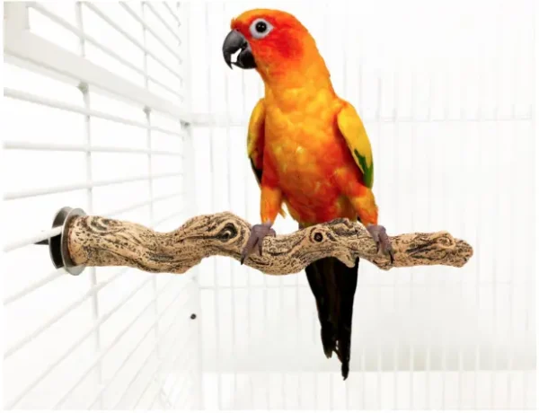 Percha Jungle Perch - Ave Fauna